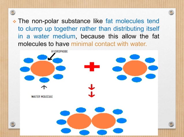 Stabilizing interactions converted | PPTX