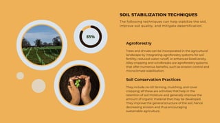 Stabilizing soils to prevent desertification and dust storms | PPT