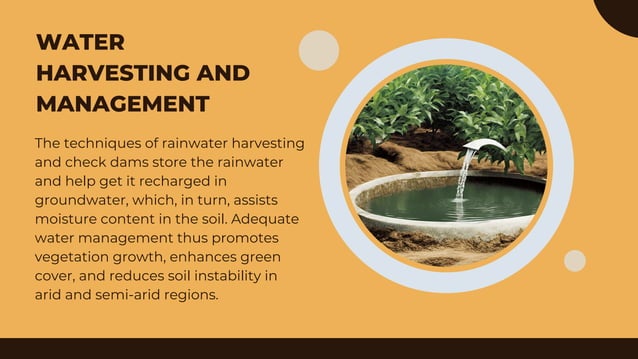 Stabilizing soils to prevent desertification and dust storms | PPT