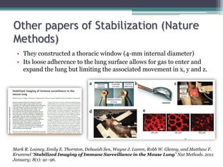 Stabi Tissue Software | PDF