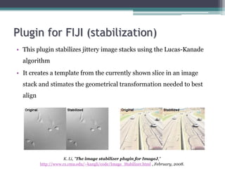Stabi Tissue Software | PDF
