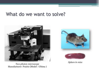 Stabi Tissue Software | PDF