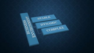 Stable environment/Dynamic environment | PPTX