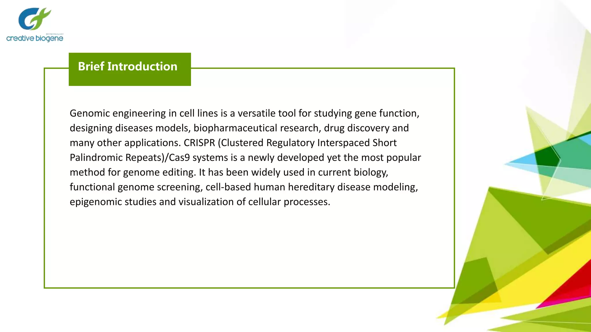Stable knockout cell line generation | PPT