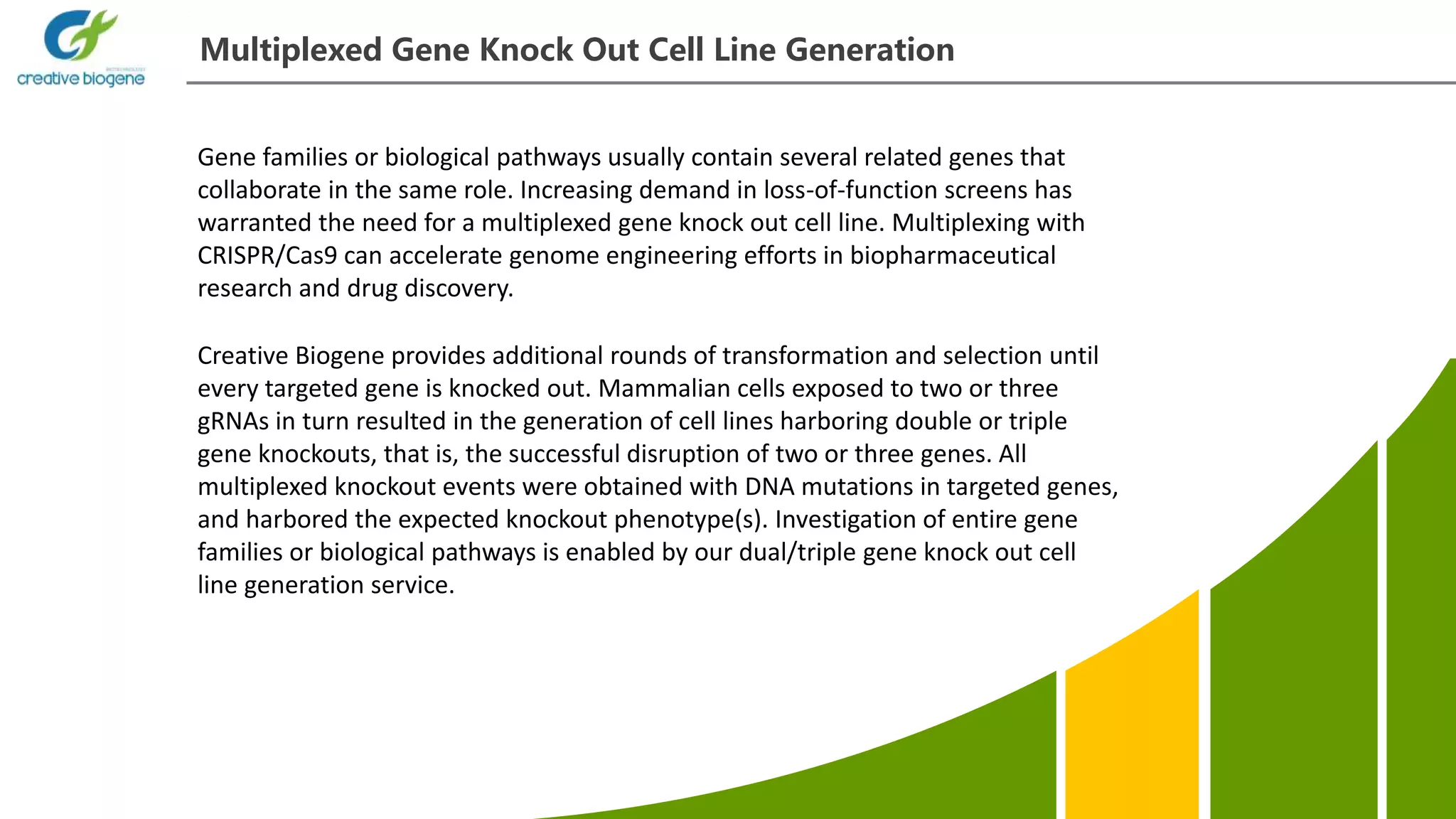 Stable knockout cell line generation | PPT