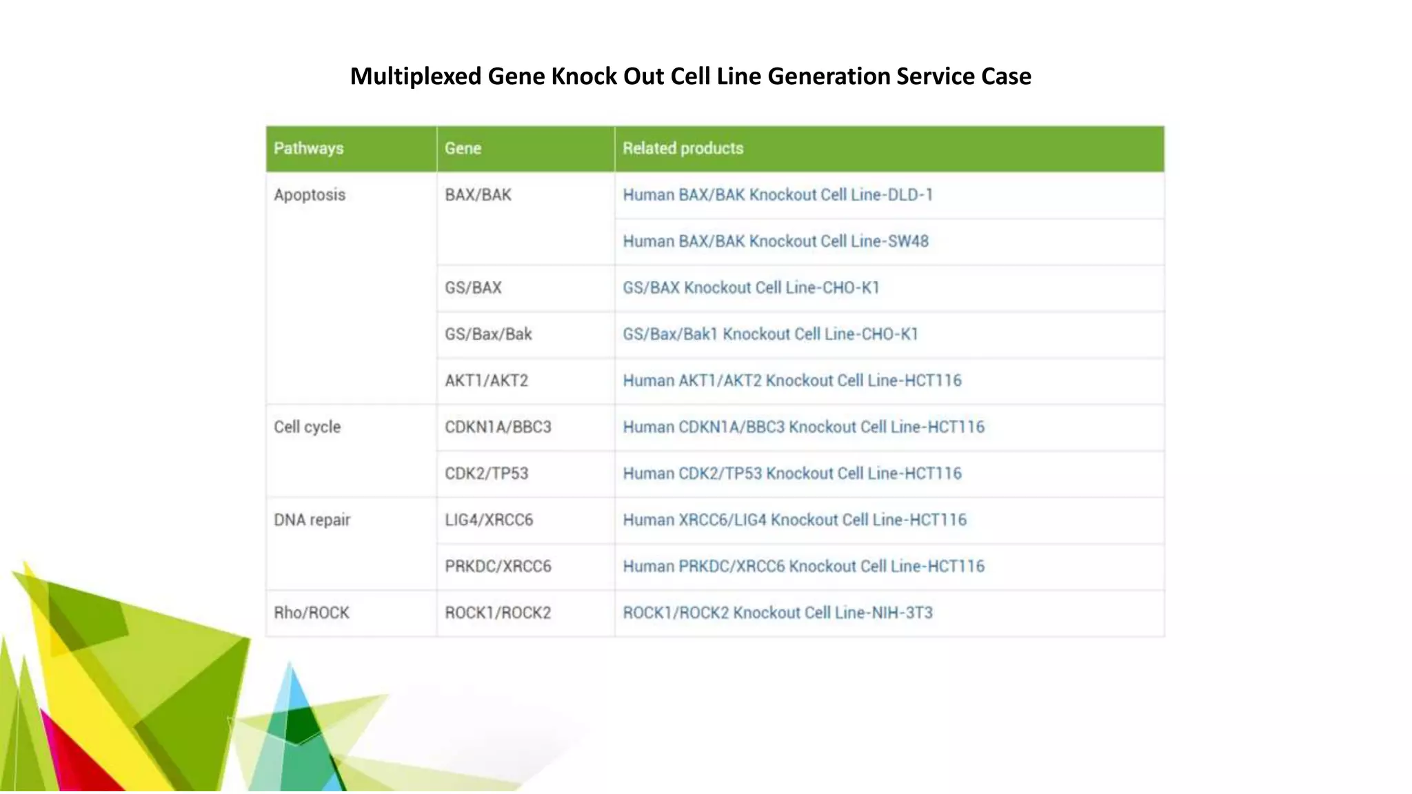 Stable knockout cell line generation | PPT