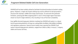 Stable knockout cell line generation | PPT