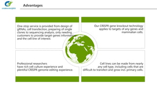 Stable knockout cell line generation | PPT