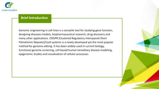 Stable knockout cell line generation | PPT