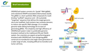 Stable knockout cell line generation | PPT