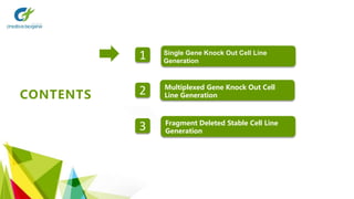 Stable knockout cell line generation | PPT