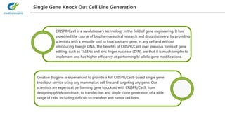 Stable knockout cell line generation | PPT