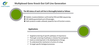 Stable knockout cell line generation | PPT
