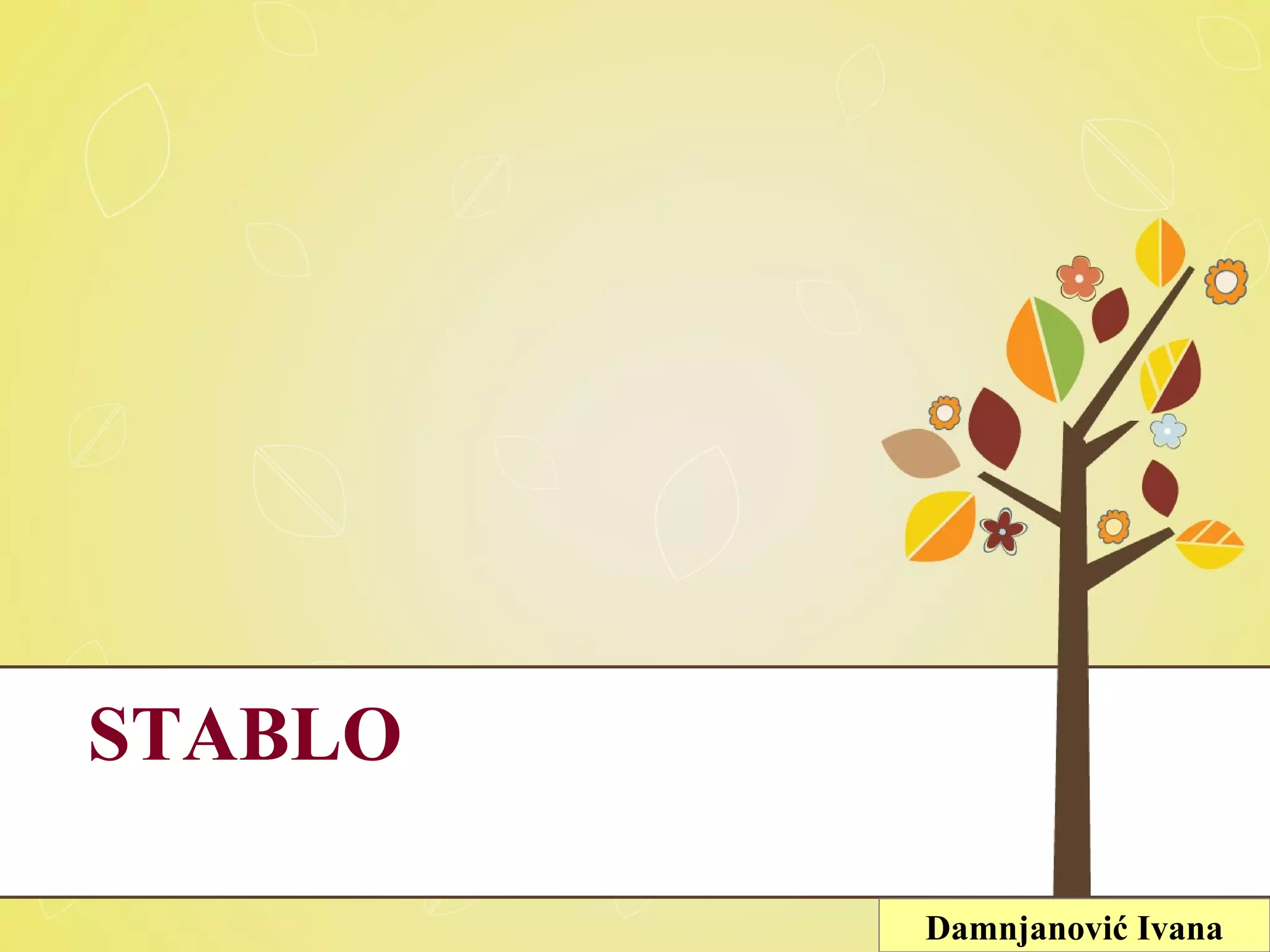 Stablo | PPT
