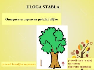 Stablo | PPT