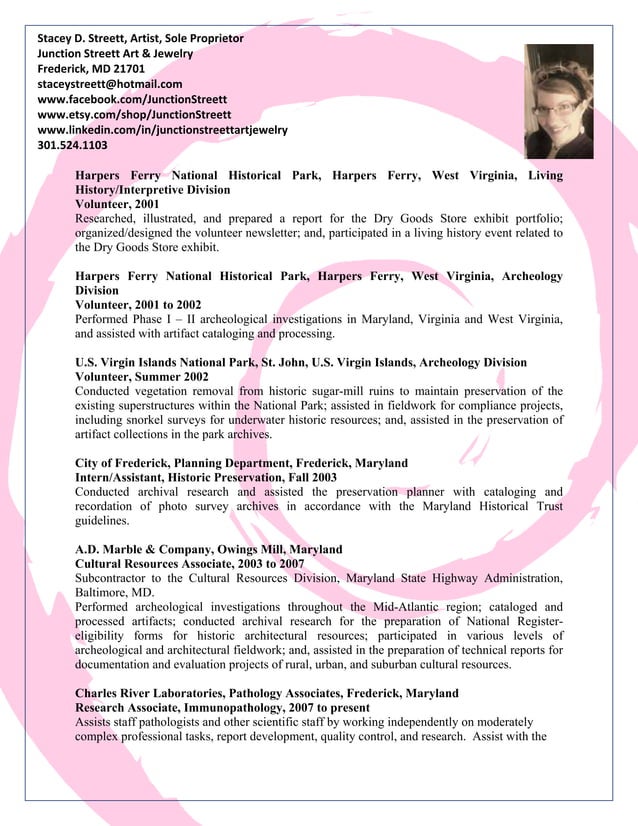 Stacey Streett Artist CV | PDF