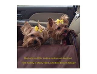 Attie and Ella | PDF