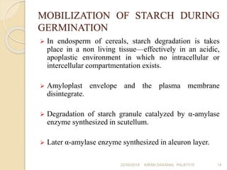 Stach biosynthesis | PPTX