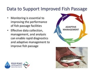 Data Automation and Visualization to Support Fisheries Management at ...