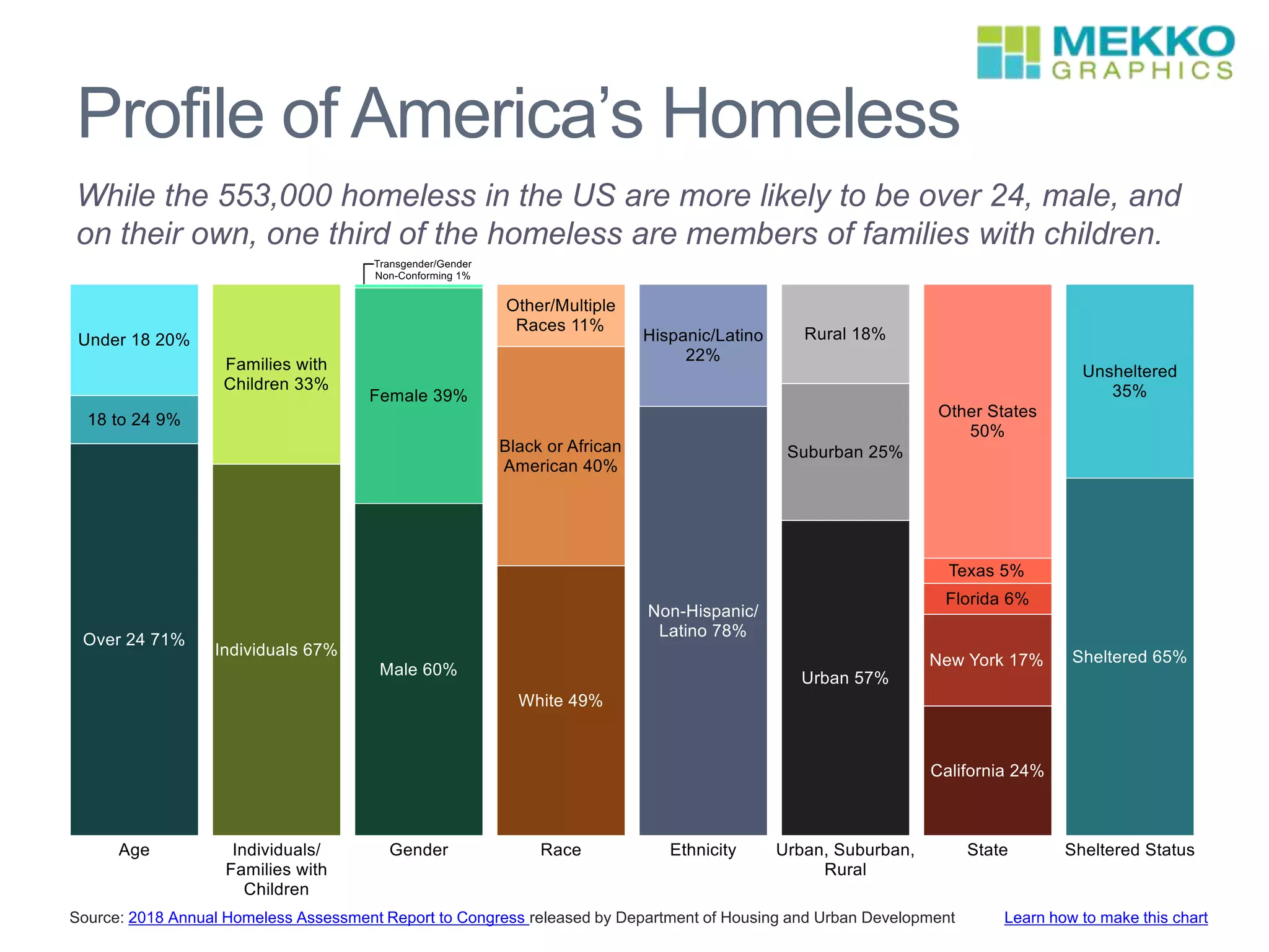 Profile of America's Homeless | PPTX