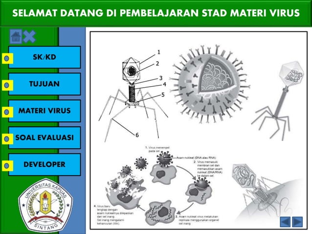 Materi Biologi Virus Metode STAD Kelas X | PPT