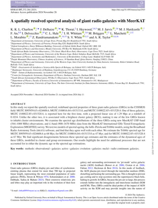 A spatially resolved spectral analysis of giant radio galaxies with ...