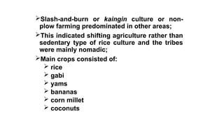 agricultural development in the philippines | PPTX