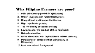 agricultural development in the philippines | PPTX