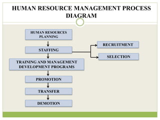 Staffing | PPTX | Human Resources | Business