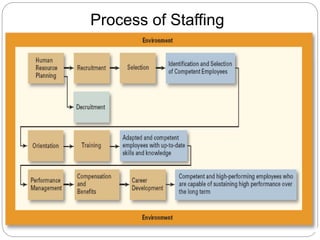 Staffing presentation of management.pptx