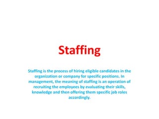 Staffing DEM.pptx
