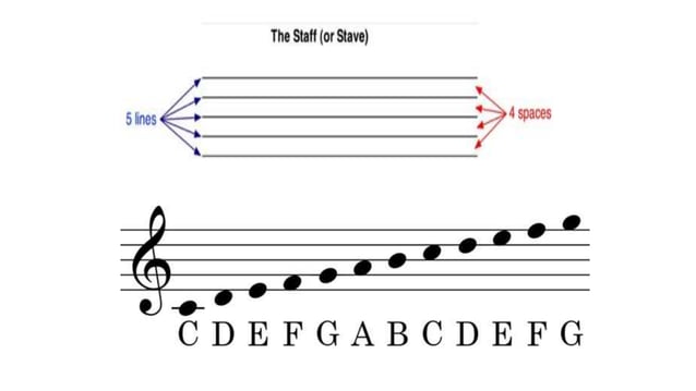 Staff, Measure, Bar Line, and Double Bar Line | PPTX