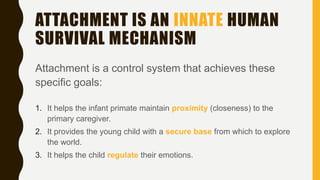 Attachment Theory and Settling | PPTX