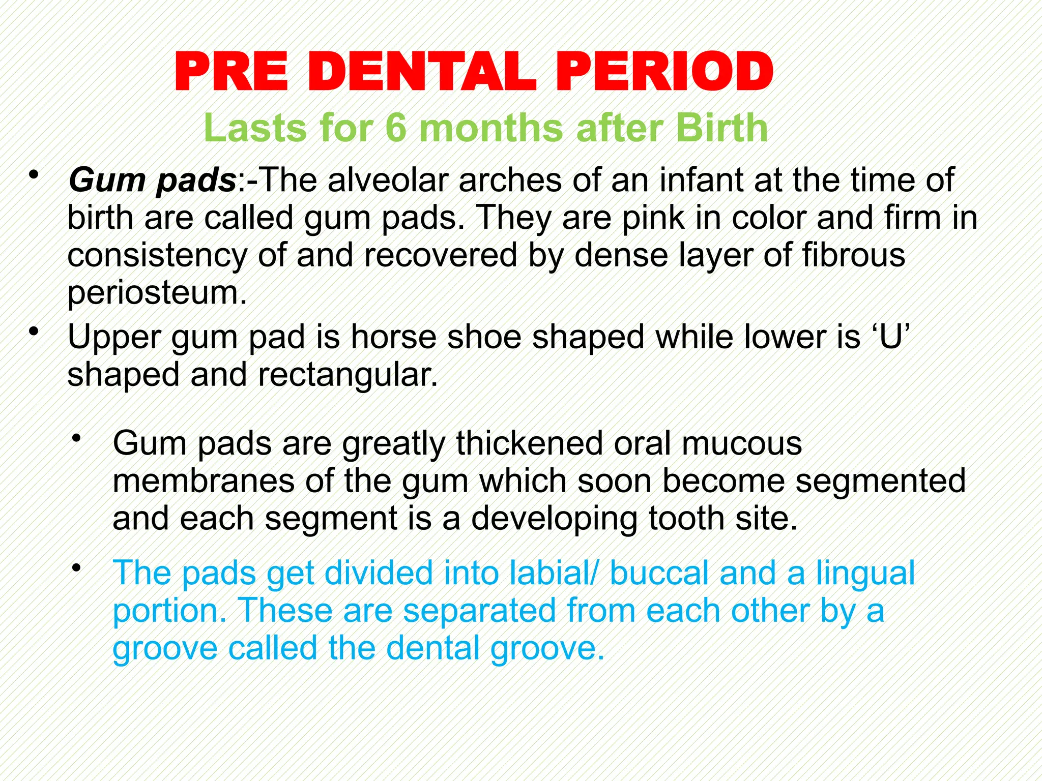 stage-of-tooth-development-1.pptx presentation | PPTX