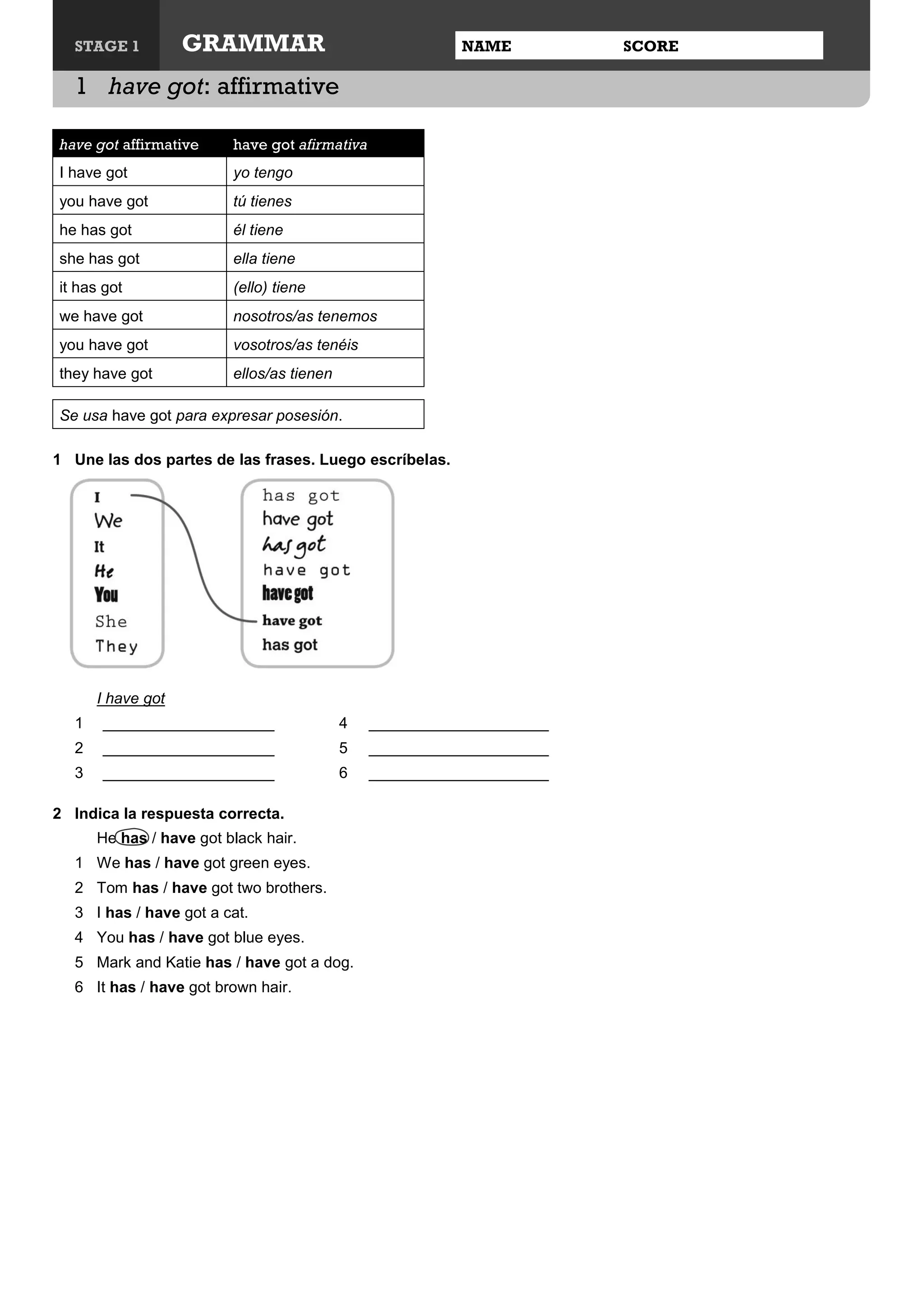 HAVE GOT (AFFIRMATIVE) | PDF