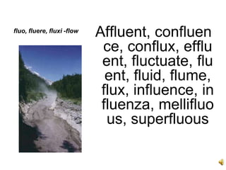 Stage 19 Derivatives | PPTX