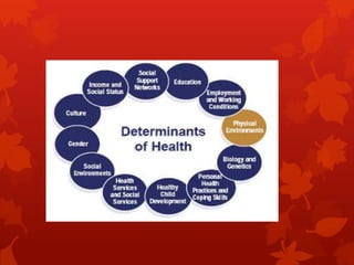 Stage 6 pdhpe | PPTX