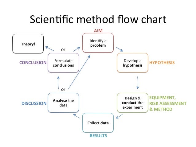 Stage 6 science skills