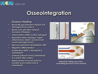 Stage i & ii surgery | PDF