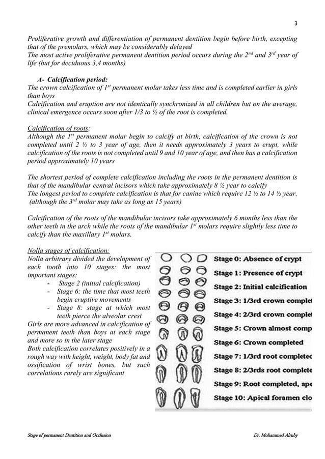 Stage of permanent dentition and Occlusion.pdf