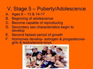 Stages-of-Development.ppt