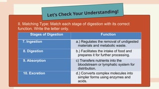 Stages-of-Digestion.1234567890okjygfdgfg | PPTX