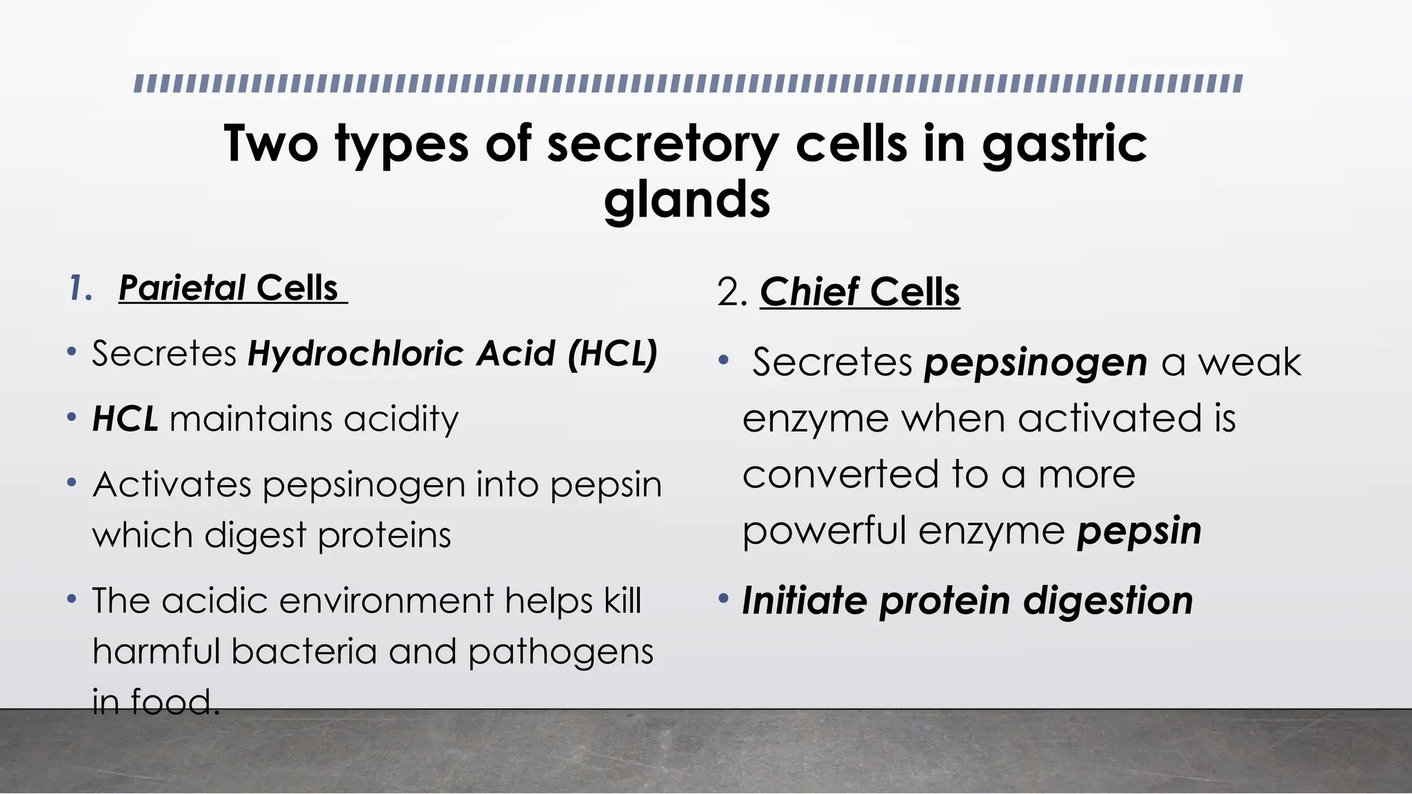 Stages-of-Food-Processing-and-Human-Digestive-System.pptx
