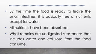 Stages-of-Food-Processing-and-Human-Digestive-System.pptx