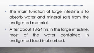 Stages-of-Food-Processing-and-Human-Digestive-System.pptx