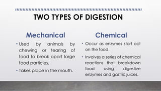 Stages-of-Food-Processing-and-Human-Digestive-System.pptx