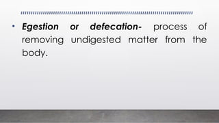 Stages-of-Food-Processing-and-Human-Digestive-System.pptx