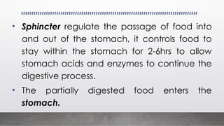 Stages-of-Food-Processing-and-Human-Digestive-System.pptx