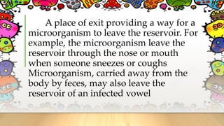 Stages-of-Infection.pptx