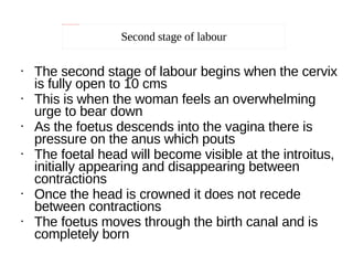 Stages Of Labour | PPTX